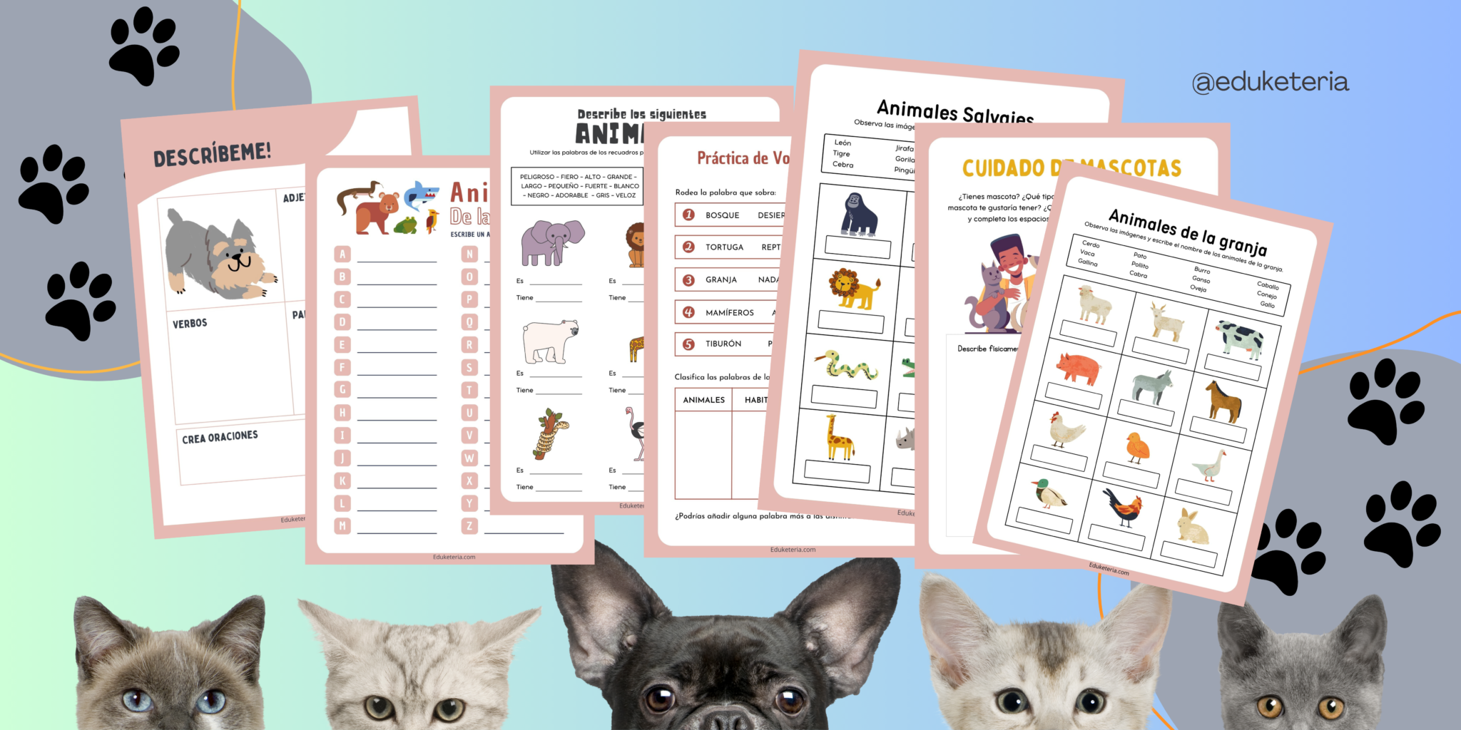 Vocabulario de los animales en español - Eduketería